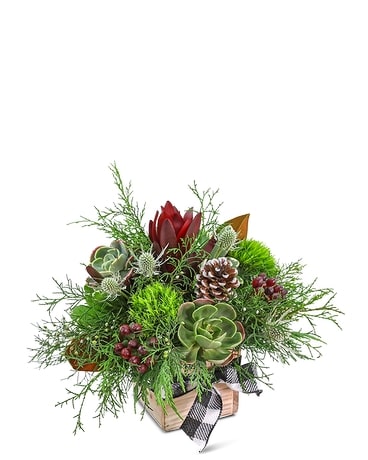 Winter Flowers Delivery Frederick MD - Flower Fashions Inc