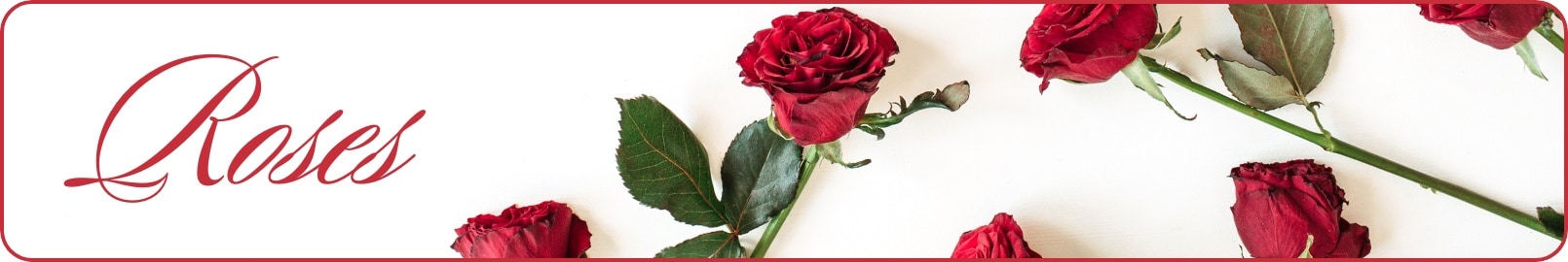 Roses Delivery Walla Walla WA - Wild Willow Flower House