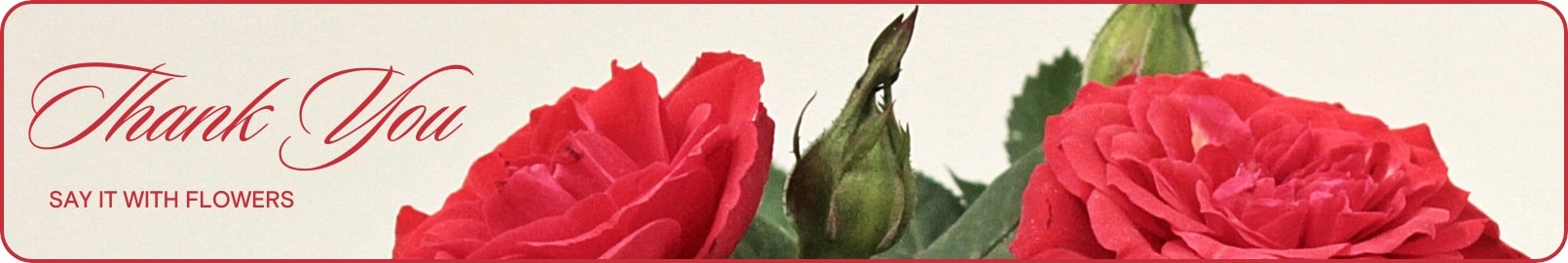 Thank You Flowers and Gifts by Lee's Flower Shop Delivery Washington DC ...