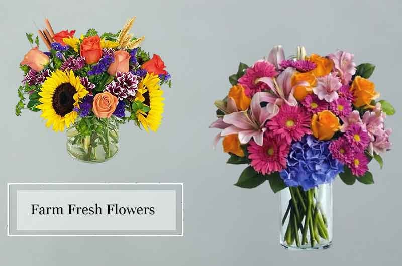 Kensington Florist - Flower Delivery by Hoover-Fisher Florist