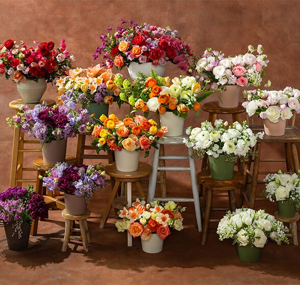 Florist | Same Day Flower Delivery | Winston Flowers