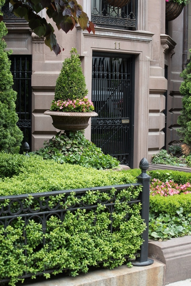 Lovely Boston Brownstone Gallery | Winston Flowers