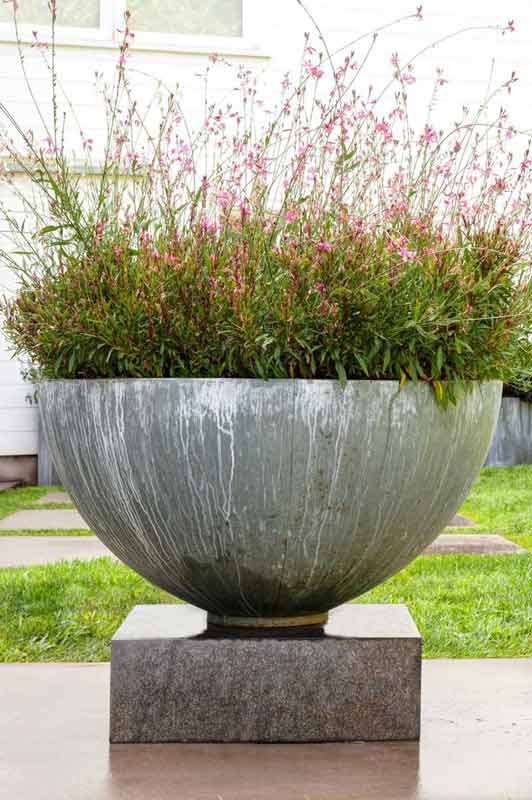 Modern Container Garden Gallery | Winston Flowers