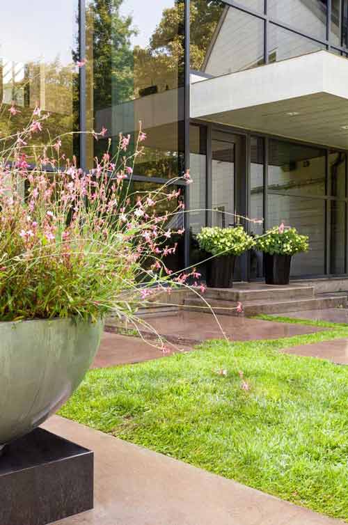 Modern Garden Design Container