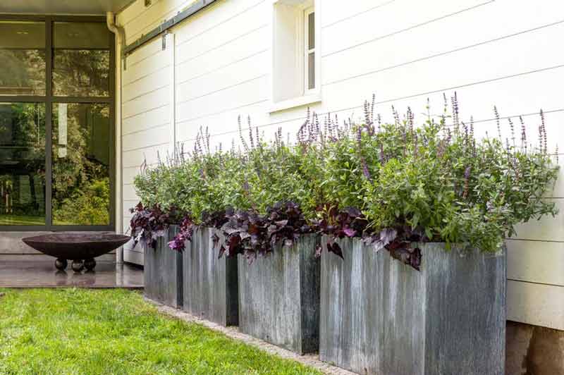 Modern Container Garden Gallery | Winston Flowers