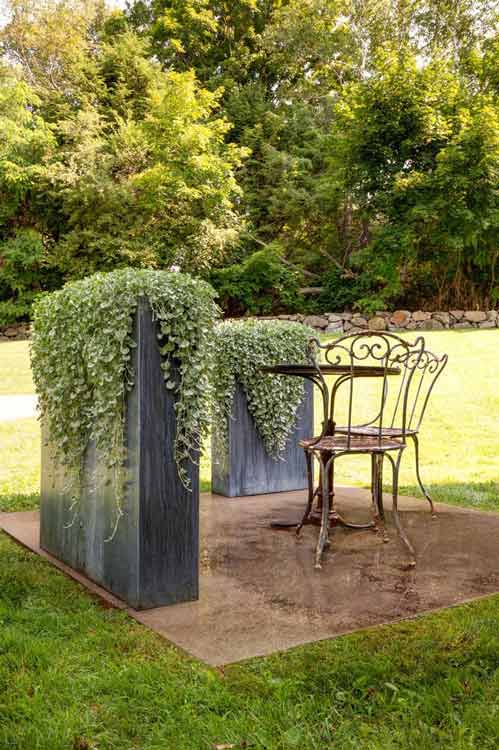 Modern Container Garden Gallery | Winston Flowers