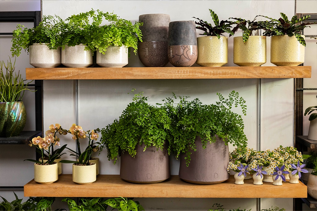 Back Bay Boston, MA Floral Gallery | Winston Flowers