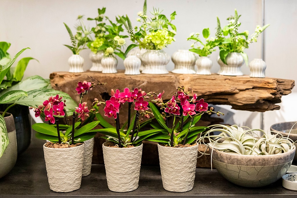 Back Bay Boston, MA Floral Gallery | Winston Flowers