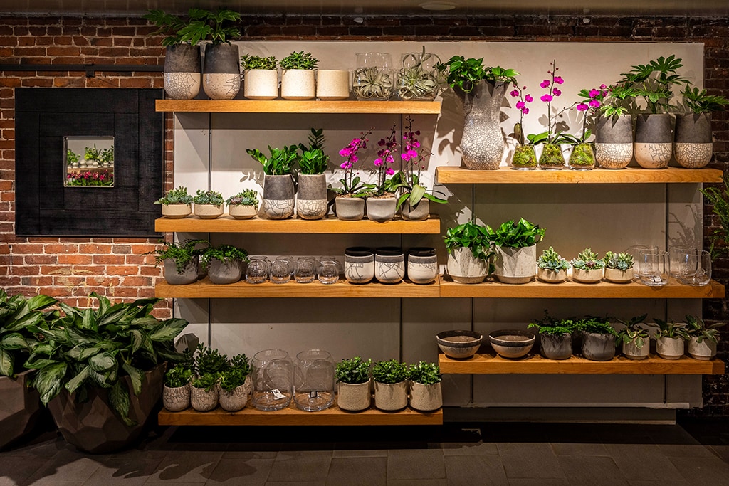 Back Bay Boston, MA Floral Gallery | Winston Flowers