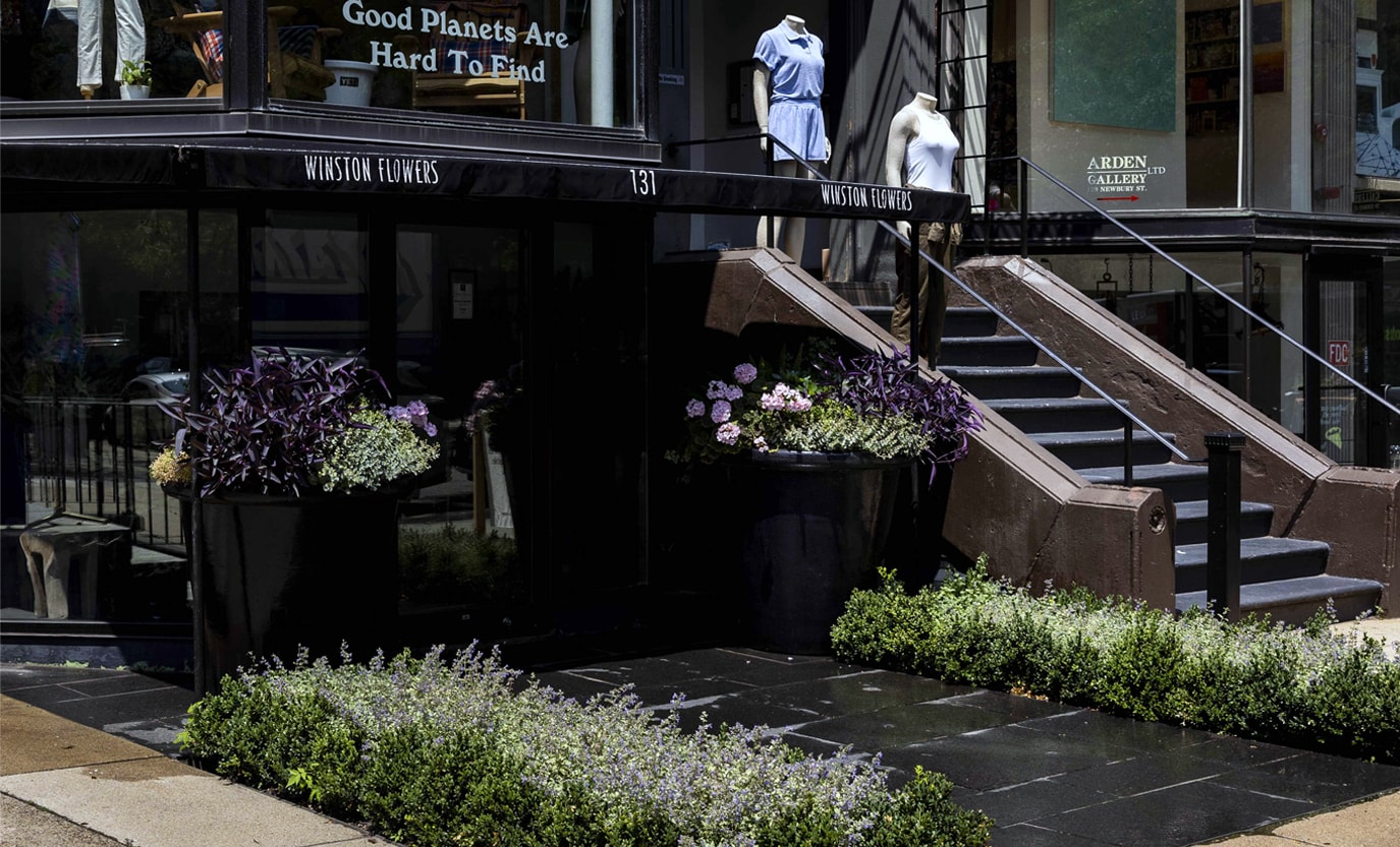 Back Bay Boston, MA Floral Gallery | Winston Flowers