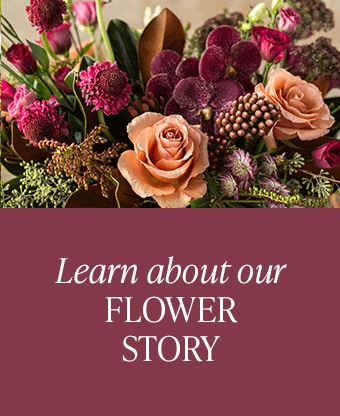 Flower and Gift Delivery | Winston Flowers