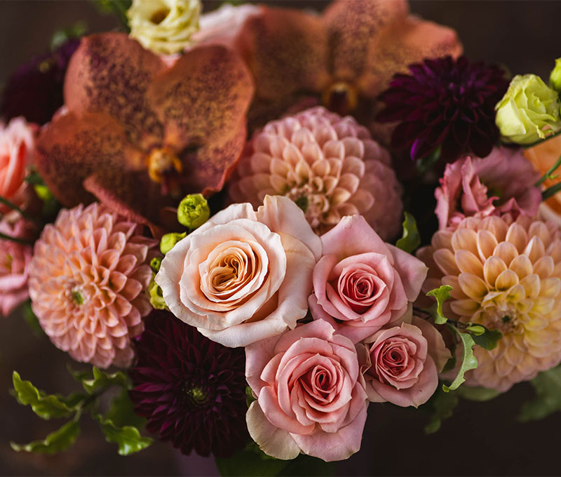 Wesley Berry Flowers Glorious Garden | Fasci Garden