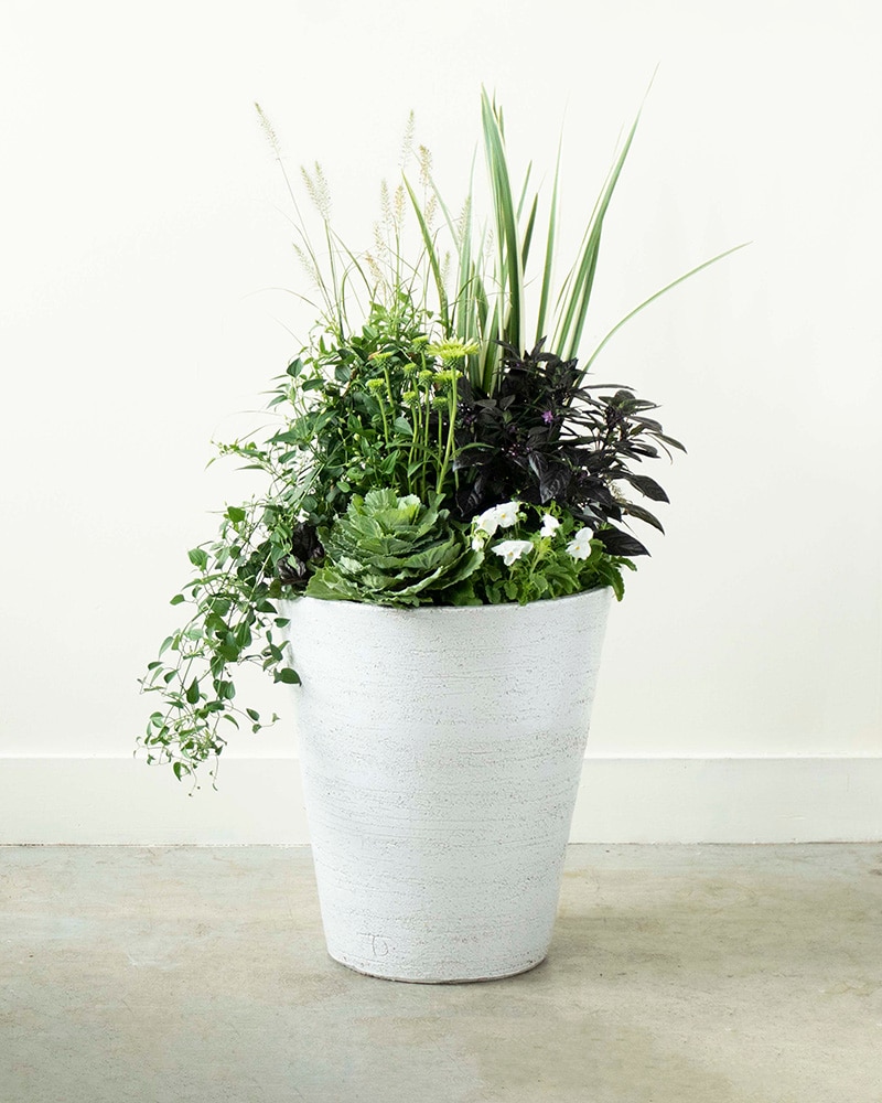 Outdoor Autumn Planter in White in Boston MA - Winston Flowers