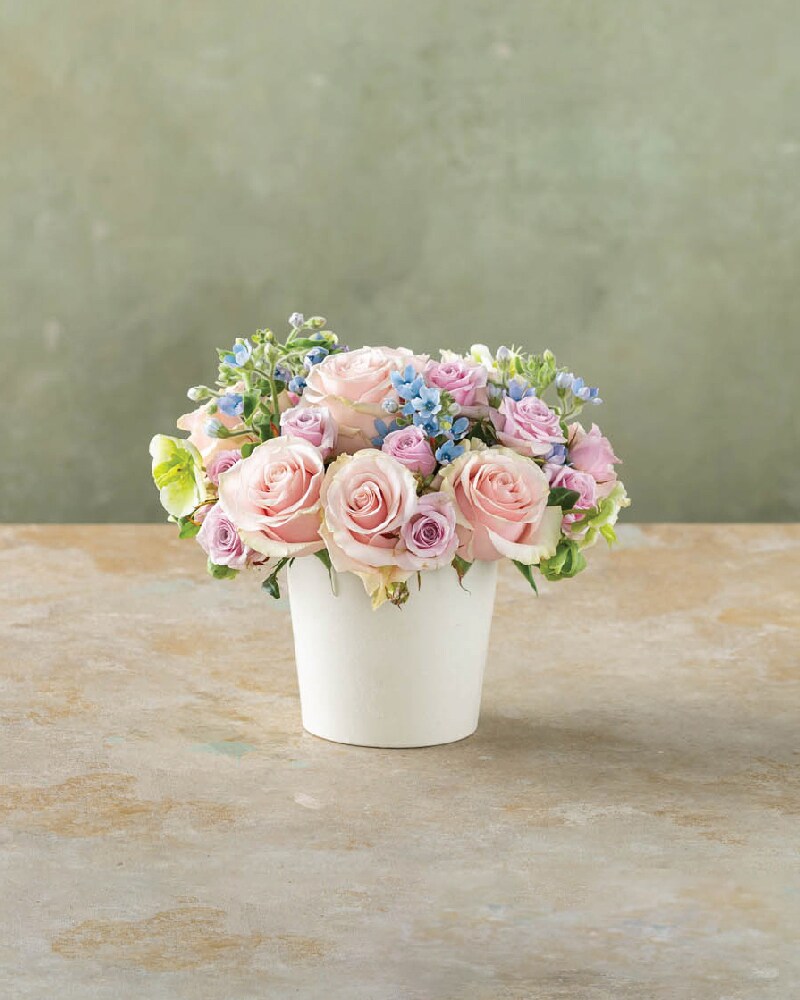 Spring Promise in Boston MA - Winston Flowers