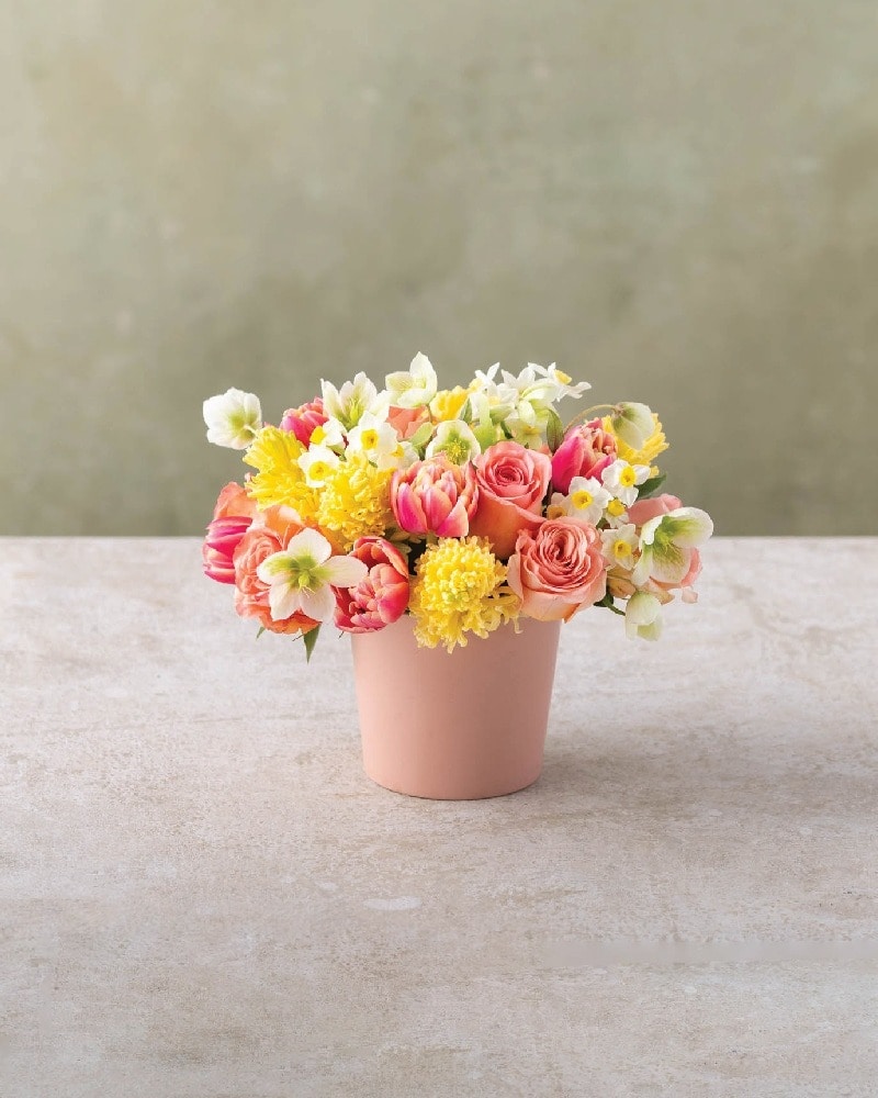 Citrus Shimmer in Boston MA - Winston Flowers