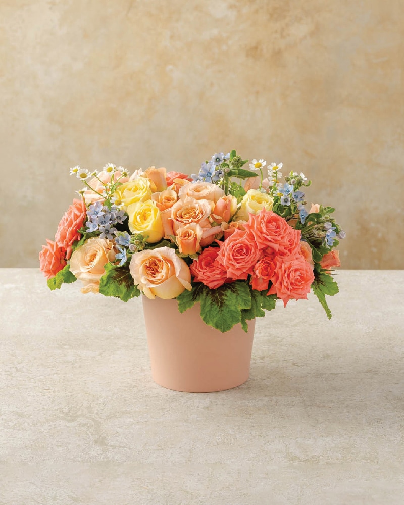 Flower and Gift Delivery | Winston Flowers