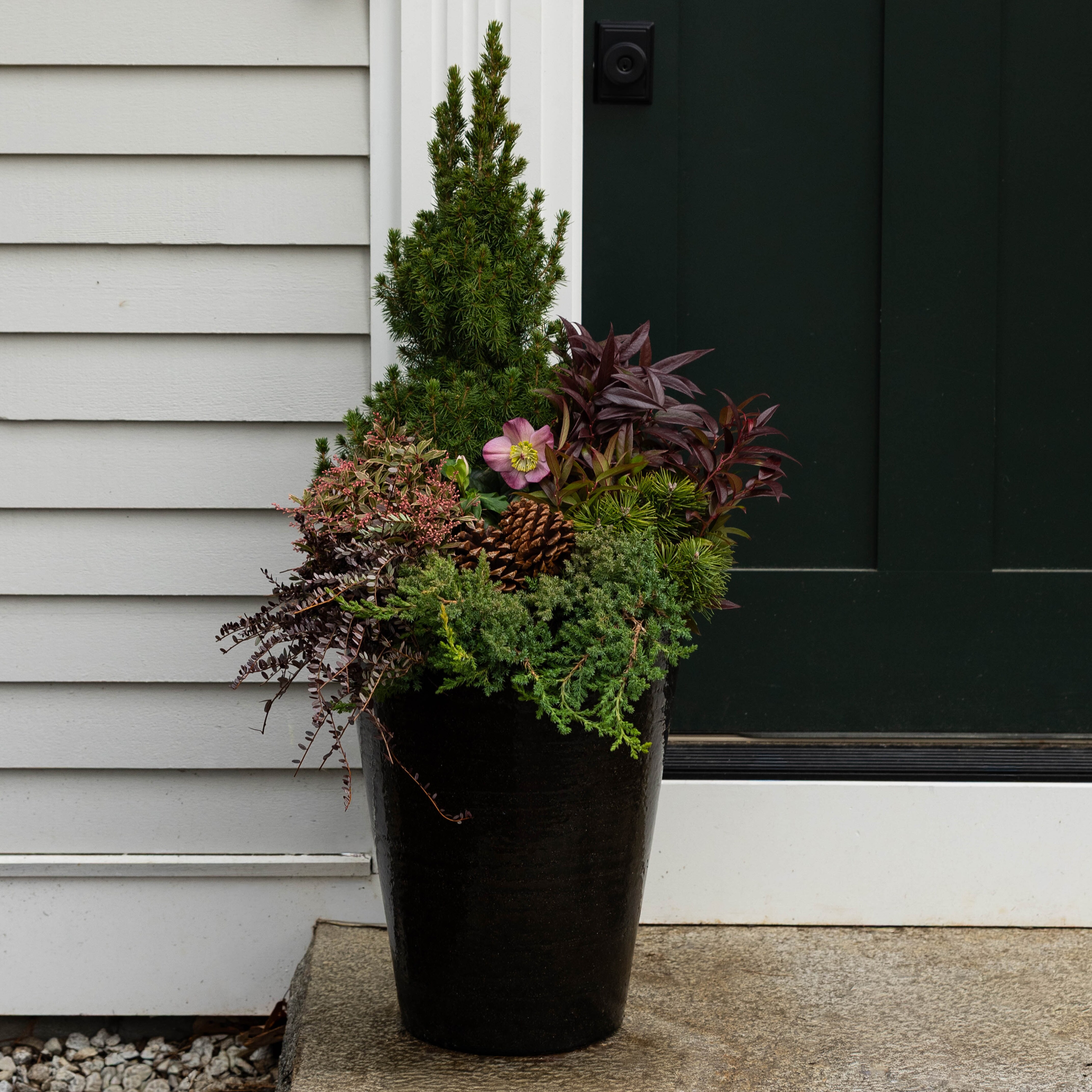 Outdoor Seasonal Planting in Beacon Hill Pot in Boston MA - Winston Flowers
