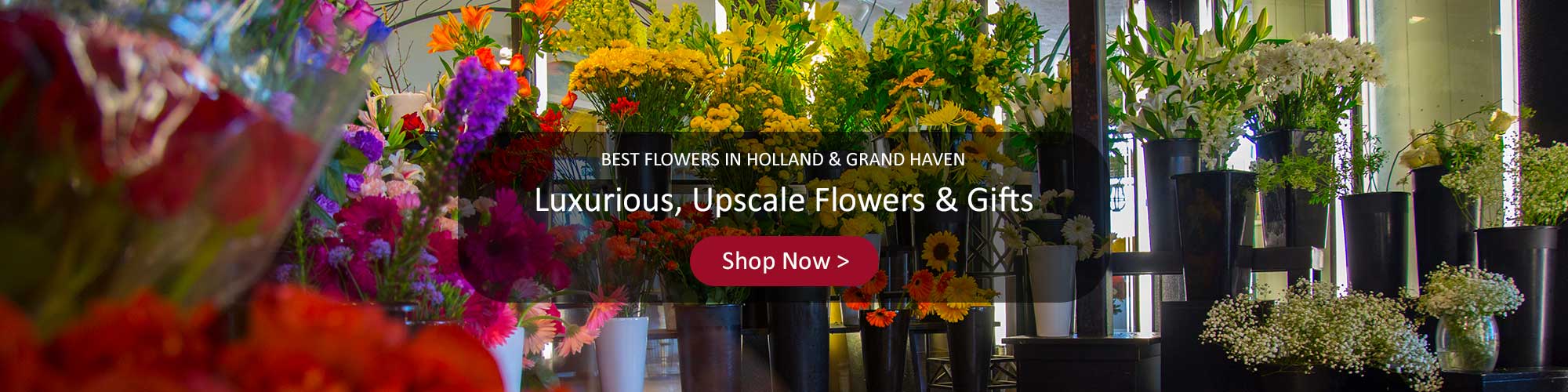 Huisman Flowers - Eastern Floral Lakeshore, Nationwide Same-Day Flower ...