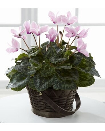 Saline Florist - Flower Delivery by Saline Flowerland, Inc.