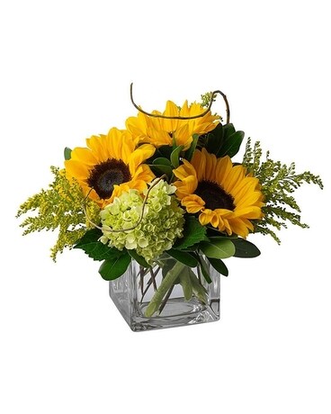 Florist Rochester MN - Flower Delivery Rochester Minnesota