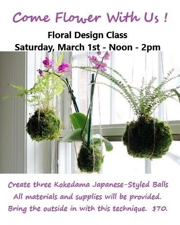 Come Flower With Us in St. Louis MO - Stems Florist & St. Louis Flower ...