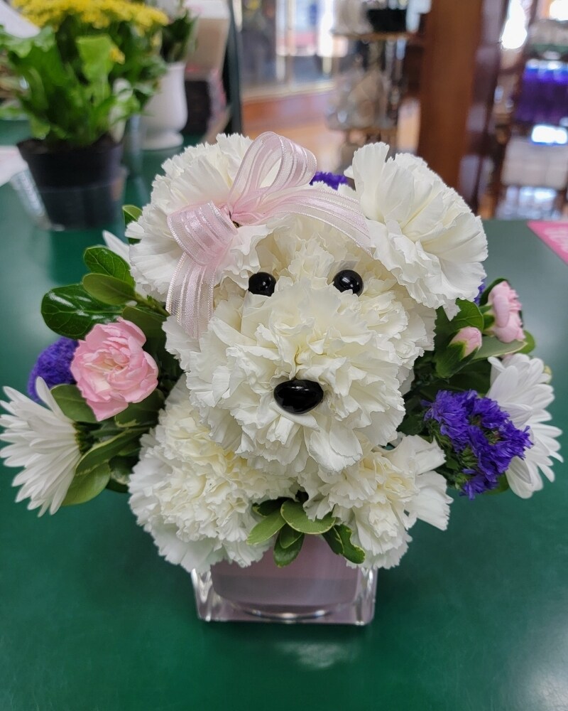 Doggie flower arrangement store