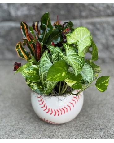 Baseball Planter in Columbia MO - Allen's Flowers, Inc.