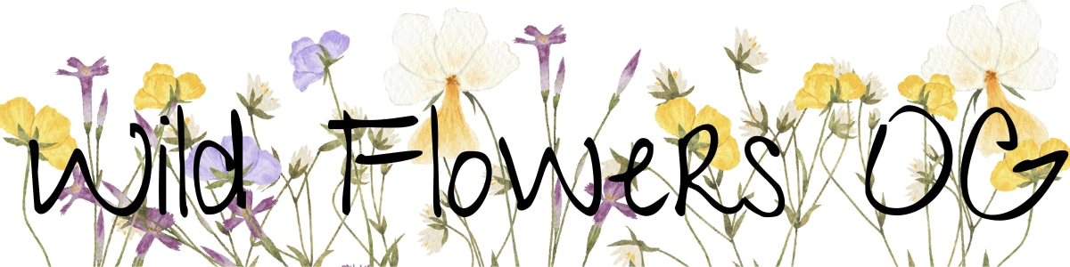 Seasonal Wedding flowers in St. Paul - Wild Flowers OG