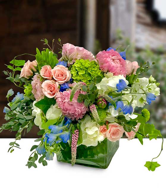 Albany NY Flower Delivery - Same Day Delivery Service, Frank Gallo Florist