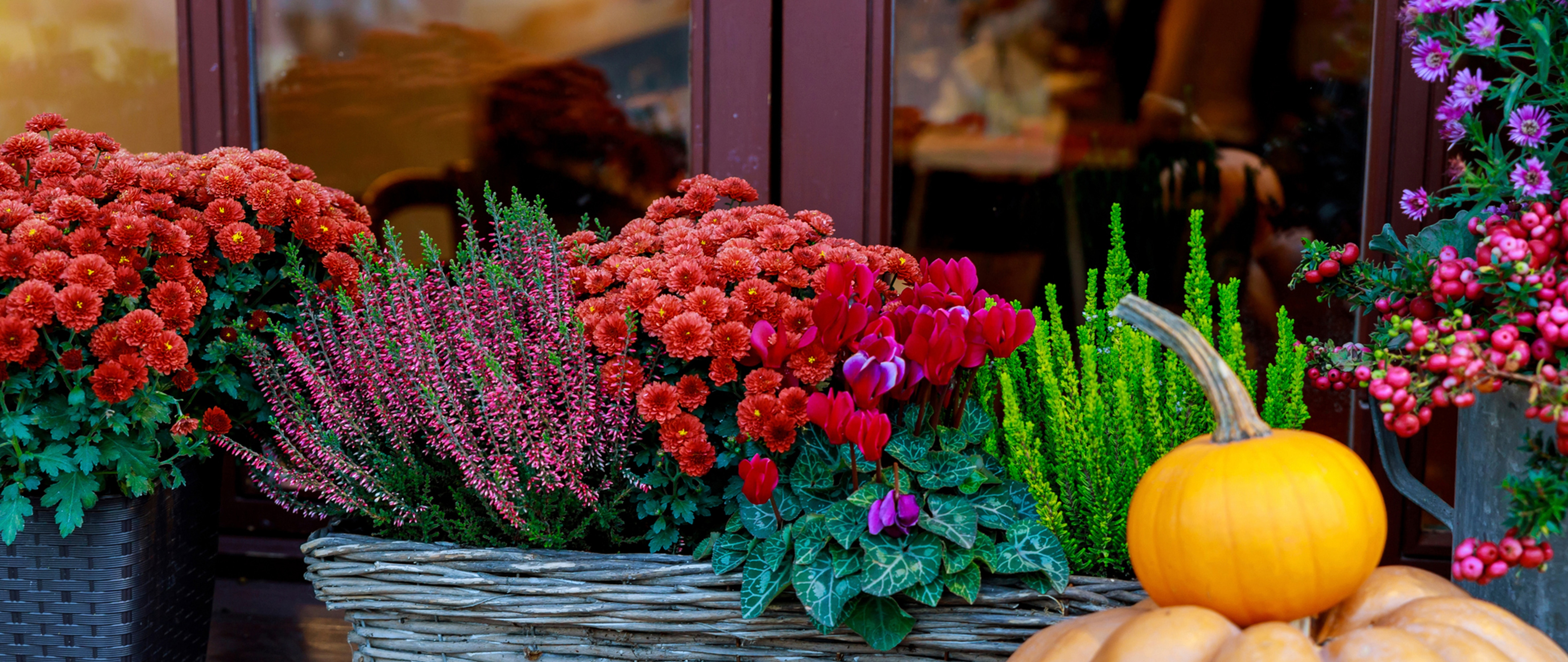Hicksville Florist - Flower Delivery by Hicksville Florist