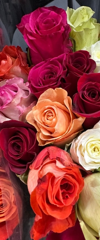 How To Care For Your Fresh Cut Roses