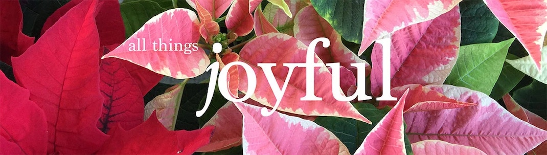 Jefferson's Florist - Flower Delivery in Greenville