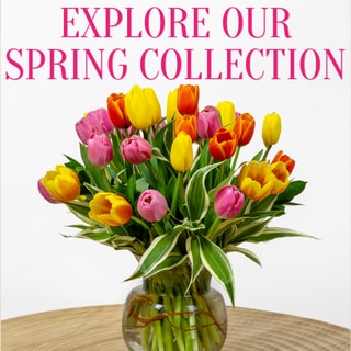 Cary Florists - Flowers Cary, NC