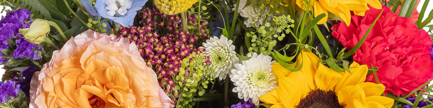 Florist in Fort Collins, CO | Palmer Flowers