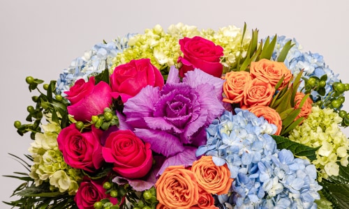 Florist in Raleigh, NC | Fallon's Flowers