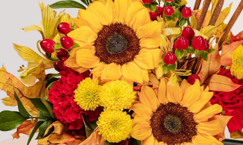 Florist in Raleigh, NC | Fallon's Flowers