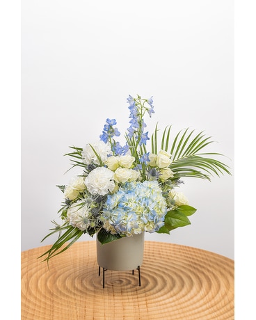 Blue Blooms - Fort Myers, FL | Fort Myers Florist