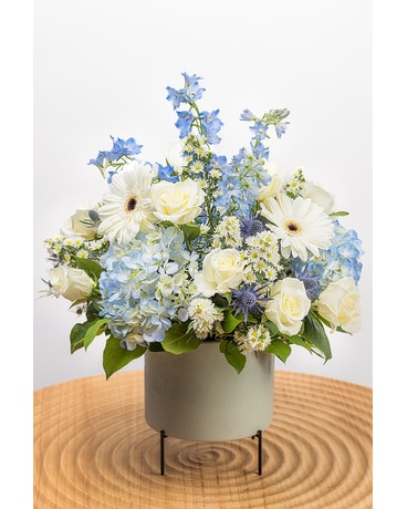 Bravo - Fort Collins, CO | Paul Wood Florist