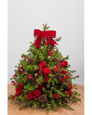Big Christmas Boxwood Tree - Fort Myers, FL | Fort Myers Florist