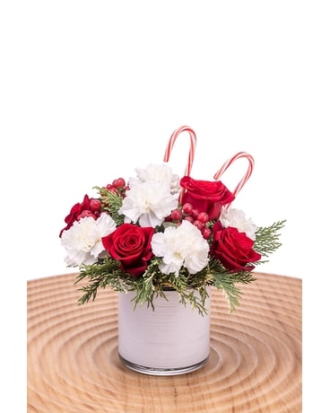 Candy Cane Crush - Augusta, GA | Martina's Flowers and Gifts