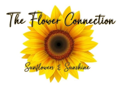 Jacksonville Florist - Flower Delivery by Flower Connection