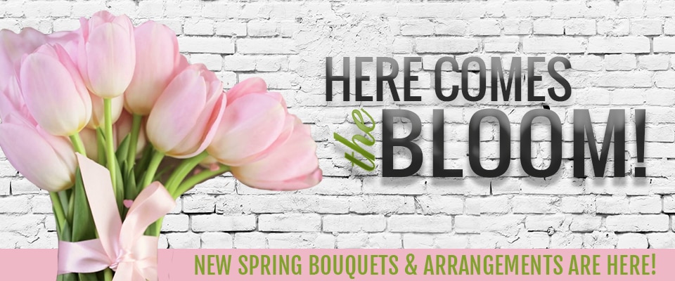 Knoxville Florist - Flower Delivery by Crouch Florist & Gifts