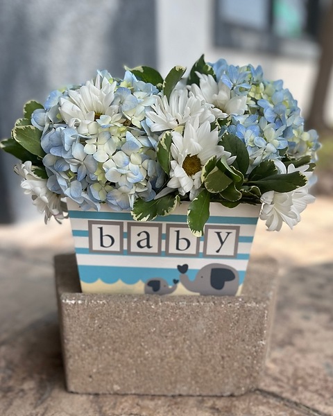 Baby Boy Flower Arrangements | Best Flower Site