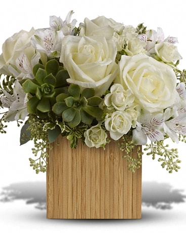 Bamboo Delivery Tualatin OR - The Flowering Jade