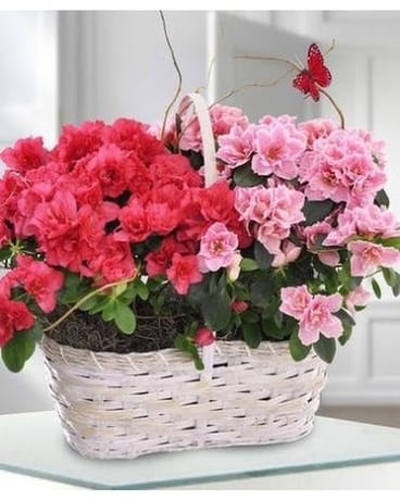 Beaverton Florist - Flower Delivery by Westside Florist