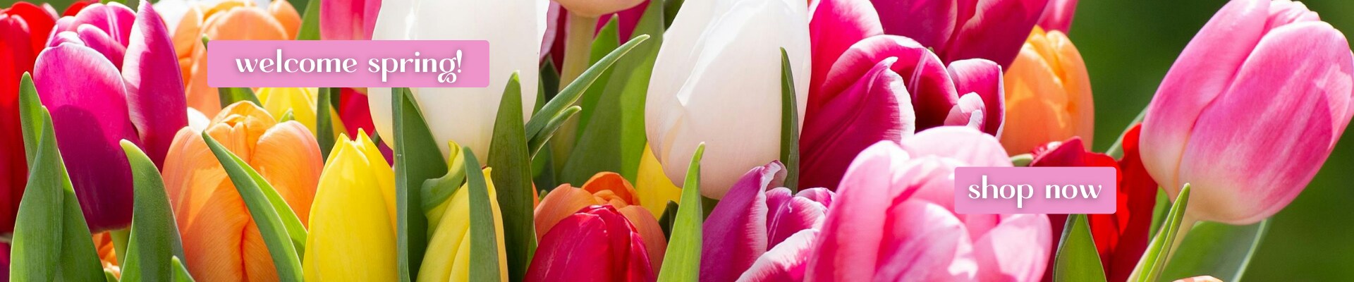 The Butler Florist - Flower Delivery by The Butler Florist