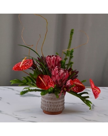 Congratulations Delivery in Dallas, TX | McShan Florist