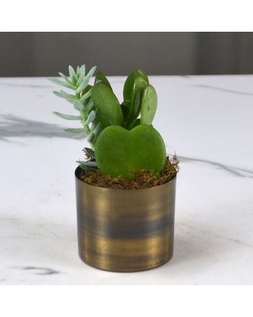 Everyday Delivery in Dallas, TX | McShan Florist