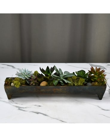 McShan Soothing Succulents in Dallas, TX | McShan Florist