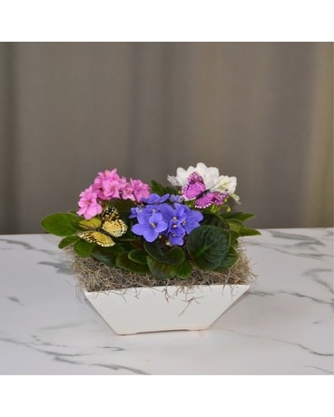 Plants Delivery in Dallas, TX | McShan Florist